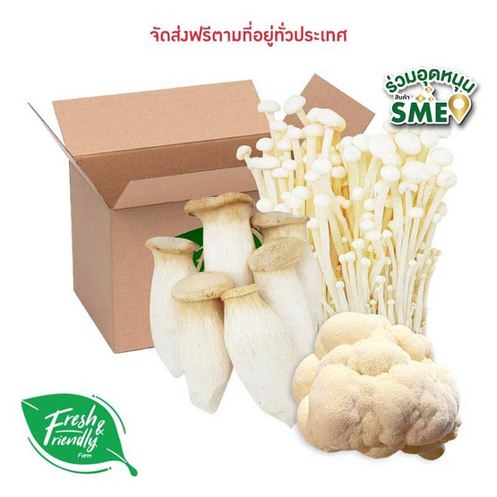 ชุดรวมเห็ด Diet 500 กรัม - ThaiPick