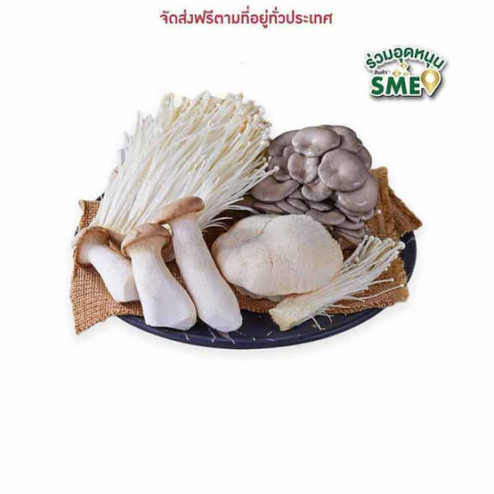 ชุดรวมเห็ด Diet 500 กรัม - ThaiPick