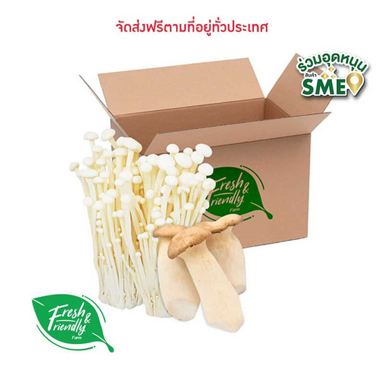 ชุดรวมเห็ด Diet 500 กรัม - ThaiPick
