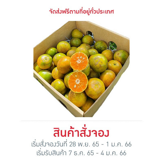 สวนร่มเกล้า ส้มสายน้ำผึ้ง (เบอร์ 105) 5 กิโลกรัม - ThaiPick