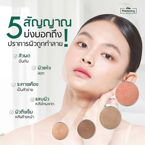 Plantnery ครีมบำรุงผิวหน้า Cica Centella Ceramide Recover Cream 50 กรัม ...